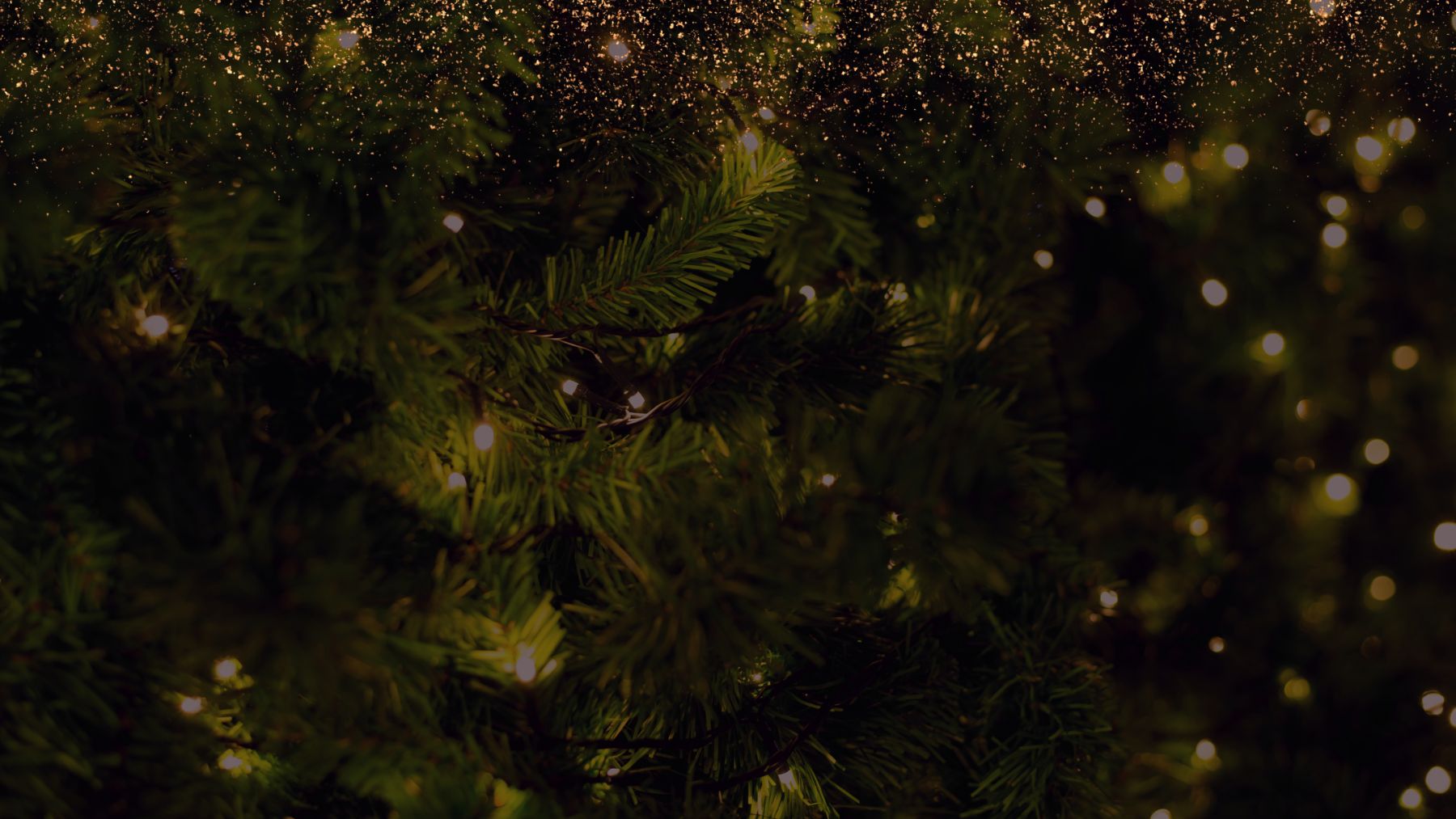 Papa Noel Christmas Trees Fundraiser – VHS Band and Vision